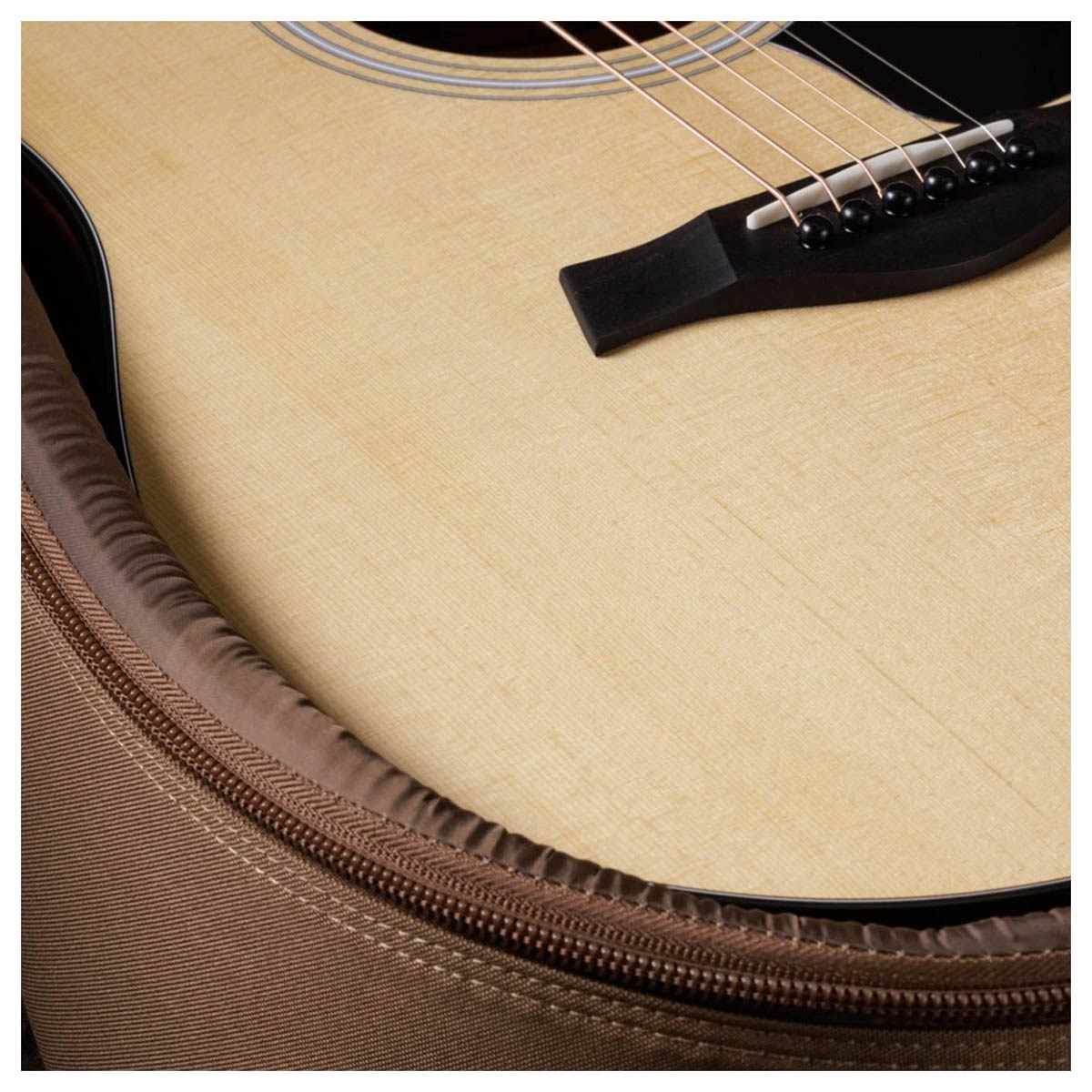 Electro Acoustic Guitars : TAYLOR 110ce-S SPECIAL EDITION