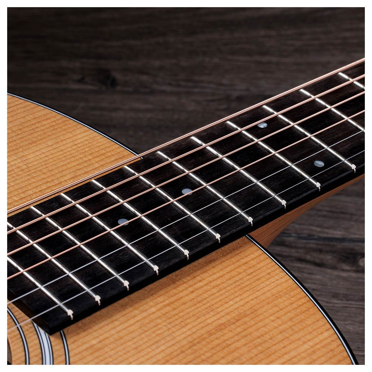 Electro Acoustic Guitars : TAYLOR 117e GRAND PACIFIC