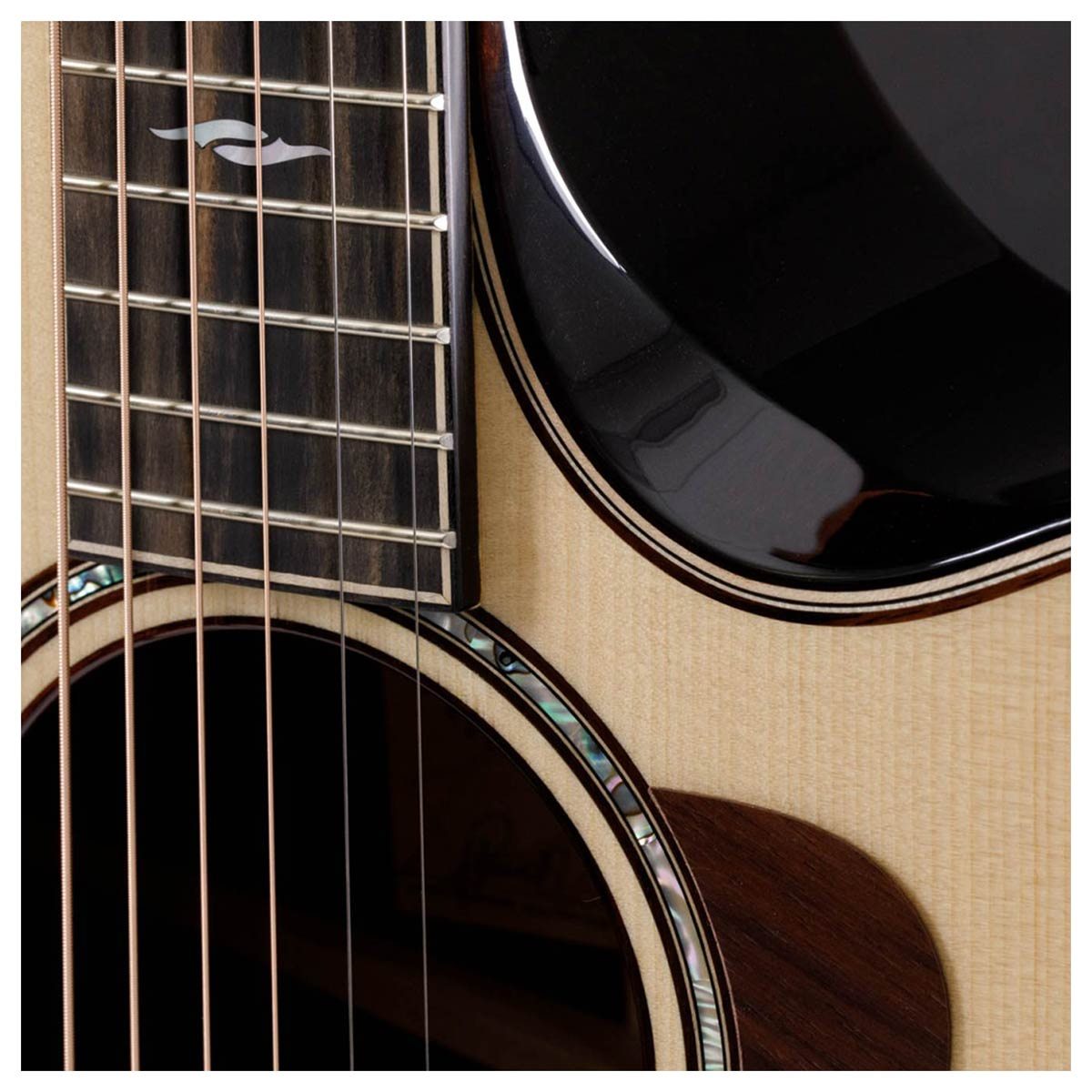 Electro Acoustic Guitars : TAYLOR 814ce BUILDER'S EDITION